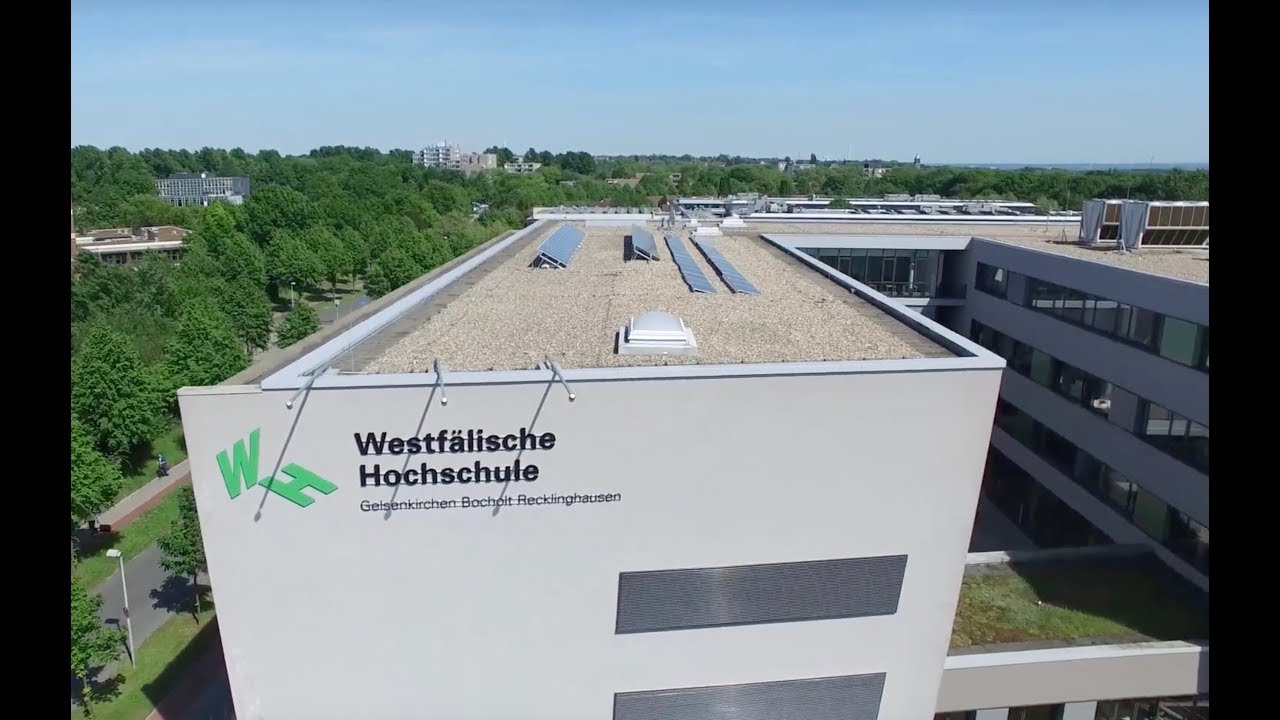 GIPE – Global Intercultural Project Experience